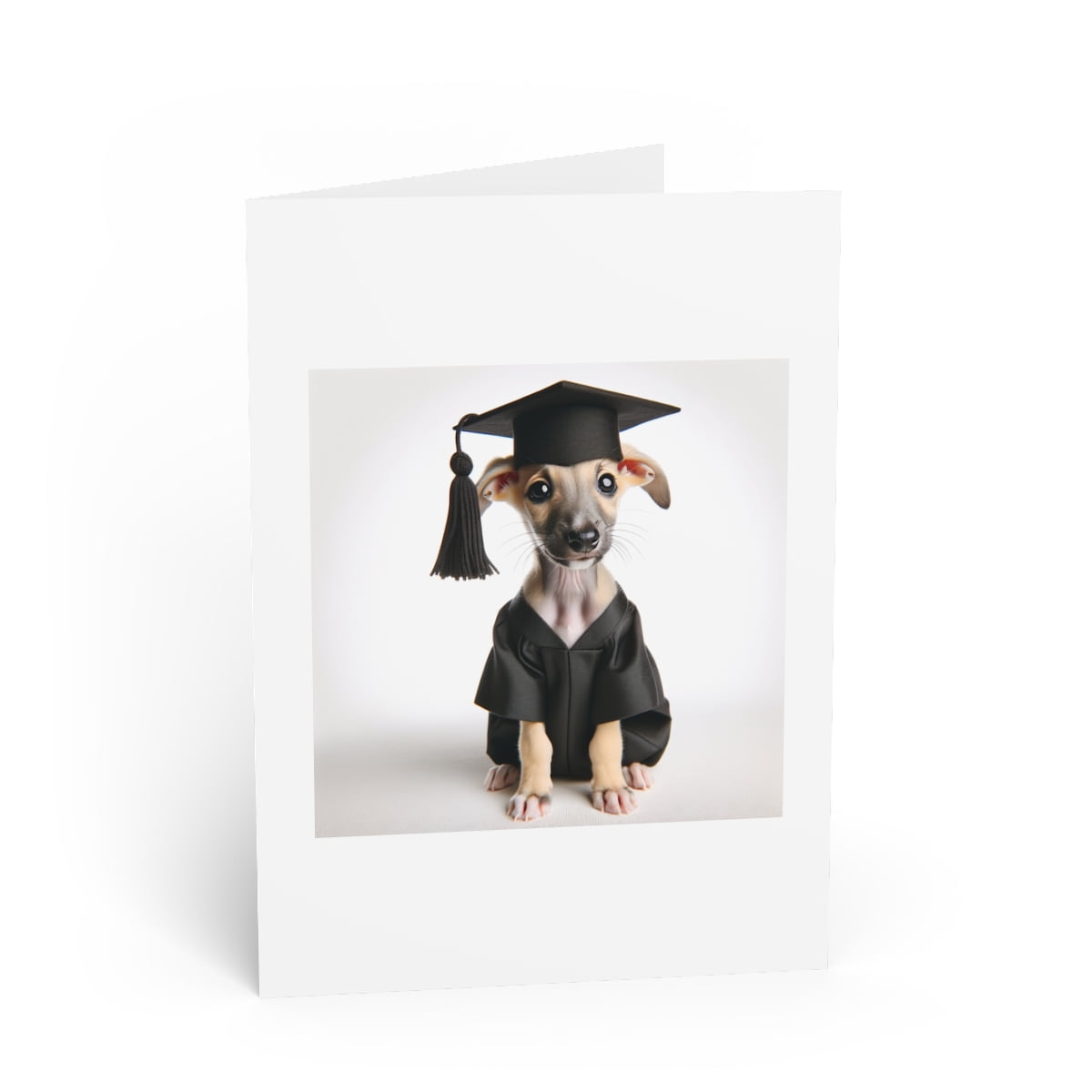 DistinctInk Greeting Card / Note Card - Greyhound Puppy Graduation ...