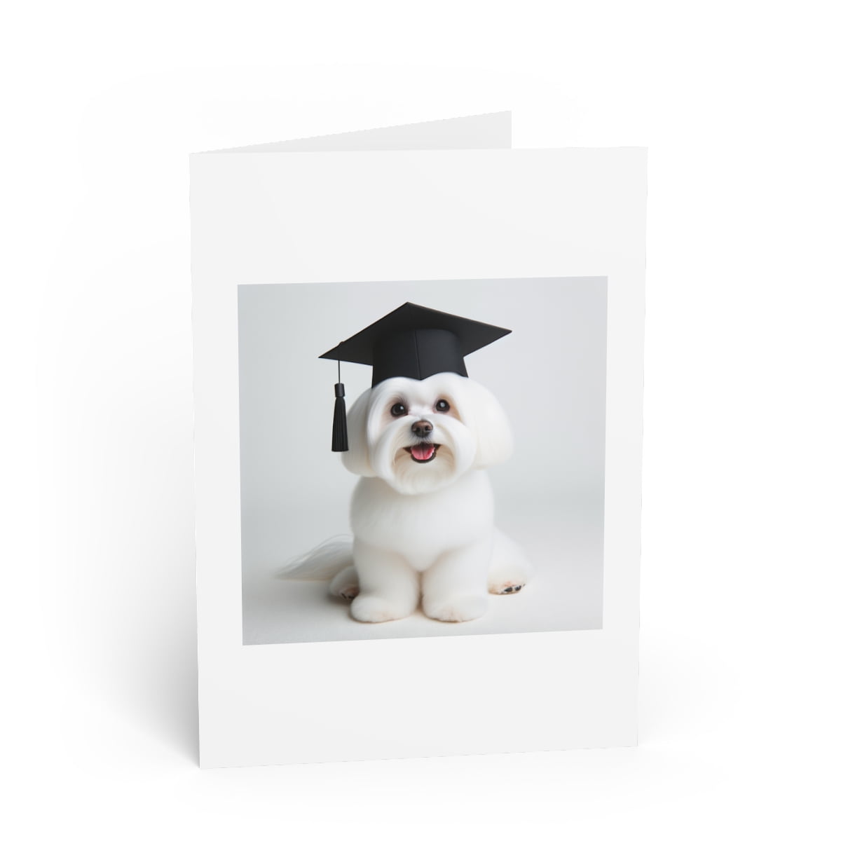 DistinctInk Greeting Card / Note Card - Maltese Graduation - PACK of 5 ...