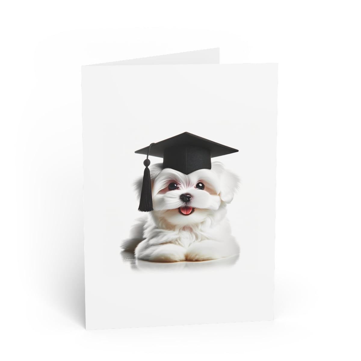 DistinctInk Greeting Card / Note Card - Maltese Puppy Graduation - PACK ...