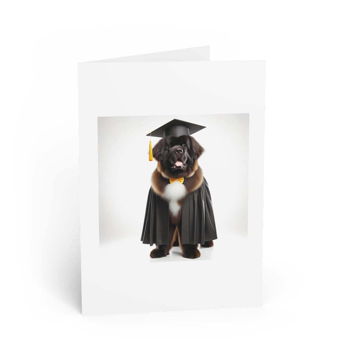 DistinctInk Greeting Card / Note Card - Newfoundland Graduation - PACK ...