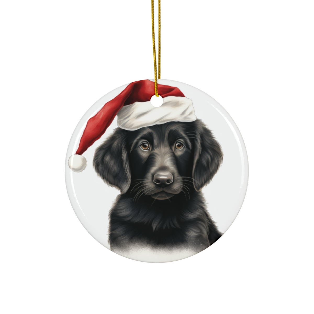 Flat Coated Golden Retriever