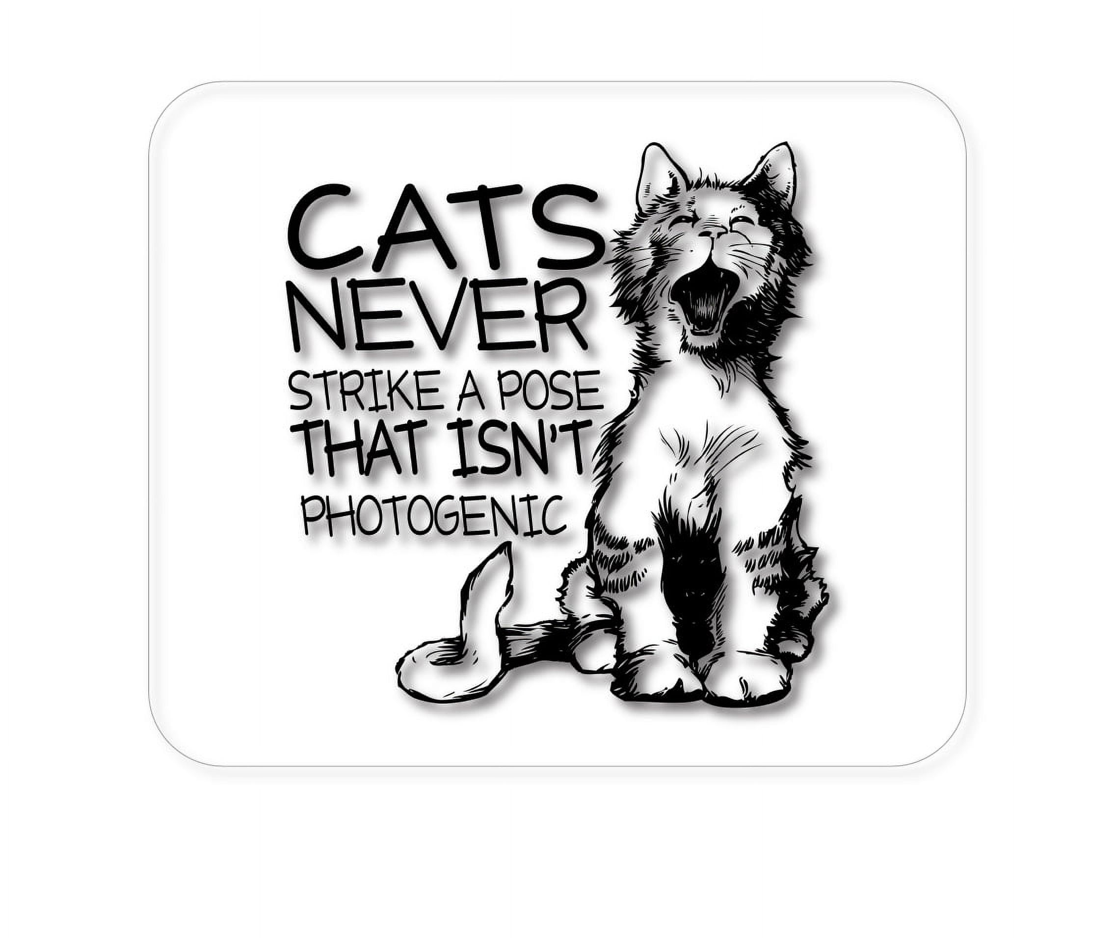 DistinctInk Mouse Pad - 1/4" Foam Rubber - Cats Never Strike a Pose not ...