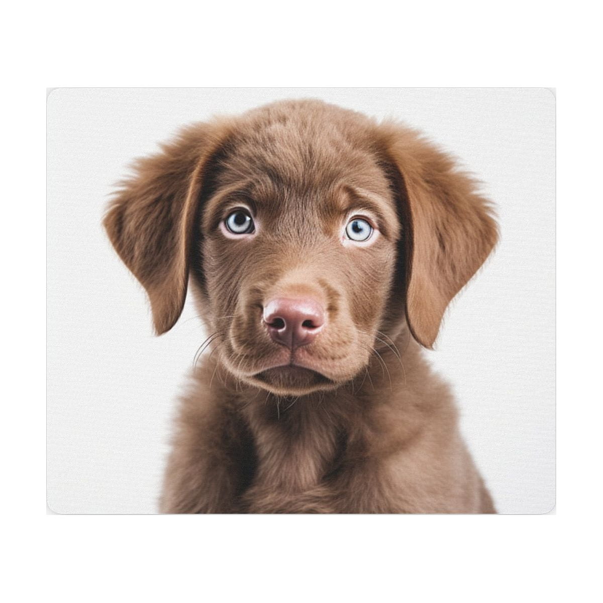 DistinctInk Mouse Pad - 1/4" Foam Rubber - Chesapeake Bay Retriever ...