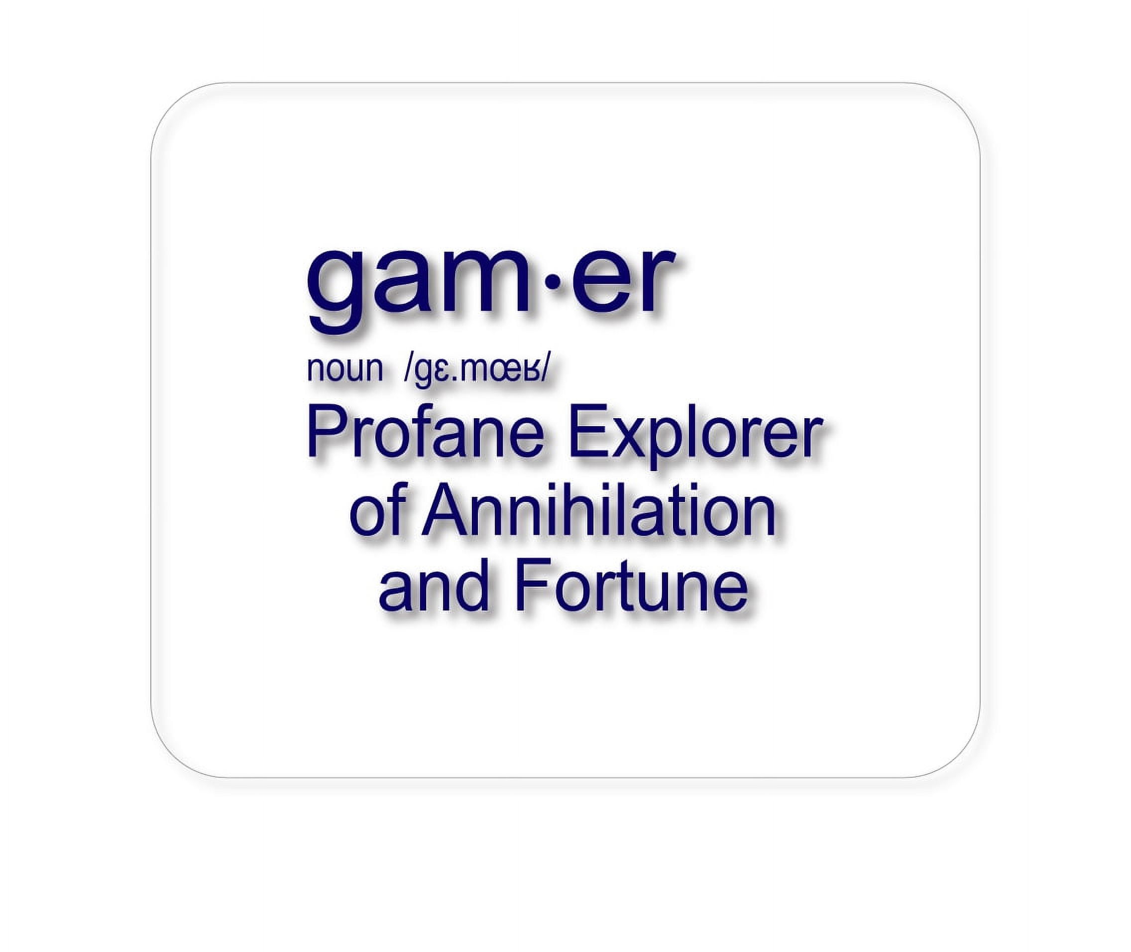 Gamer Definition