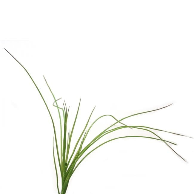 Distinctive Designs DG-109-GR 18' Plastic Grass Pick - Walmart.com