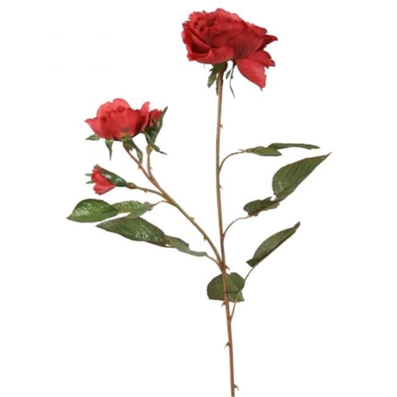 Distinctive Designs DIY Flower Cherry Red Nun Rose - Pack of 12 ...