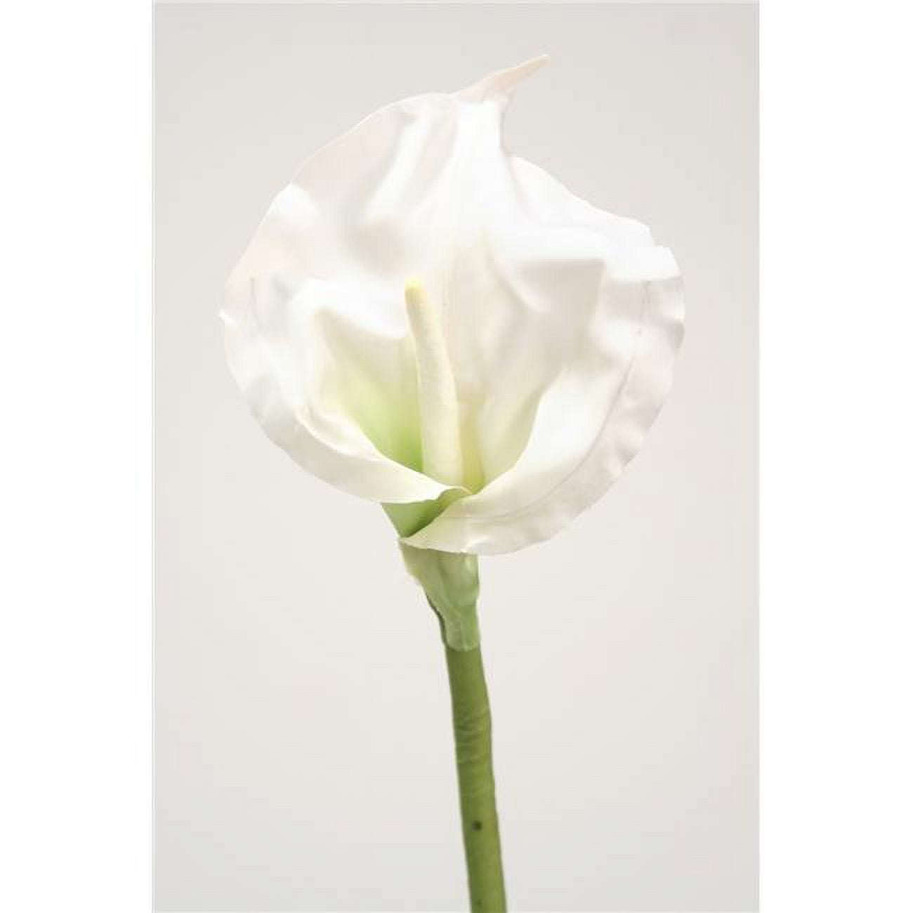 Distinctive Designs DW-1131-CR Calla Lily Open - Cream - Walmart.com
