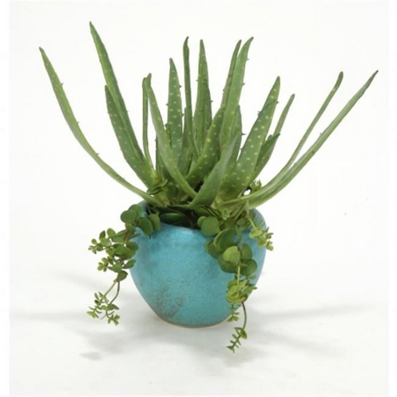 Distinctive Designs International 2850 Aloe And Hanging Succulents In ...