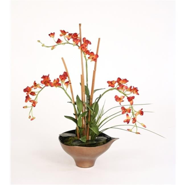 Distinctive Designs International 7544 Silk Rust Orchids- Arrorog And ...