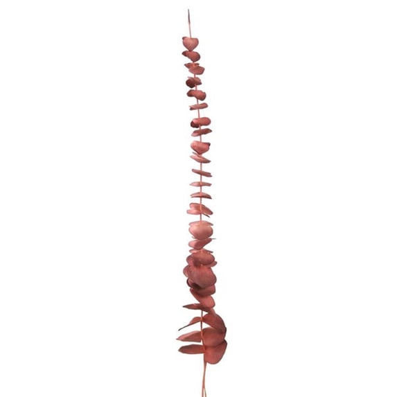 Distinctive Designs International Inc DW-955-TTRORD EUCALYPTUS - TWO ...