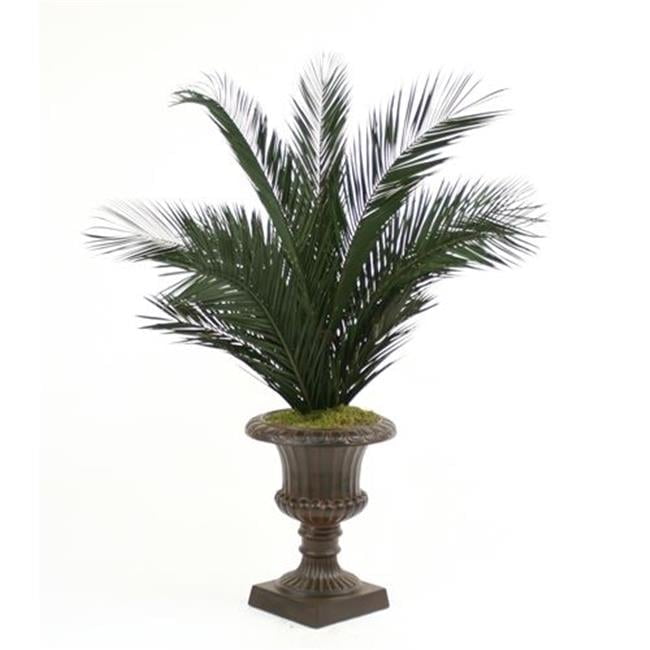 Distinctive Designs T-649-6-F70 6 ft. Preserved Phoenix Palm Tree in ...