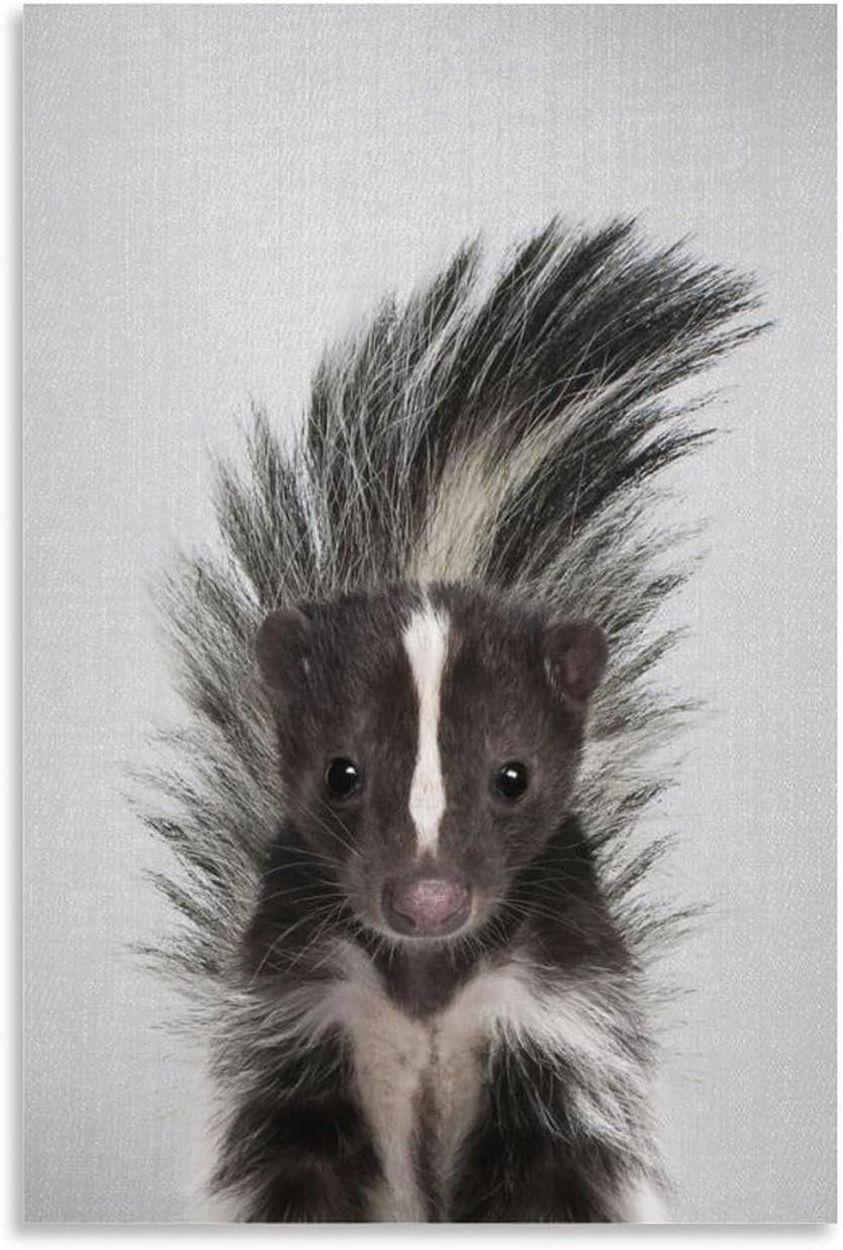 Distiny Baby Skunk Long Tail Hair Animal Poster Canvas Wall Art Posters ...