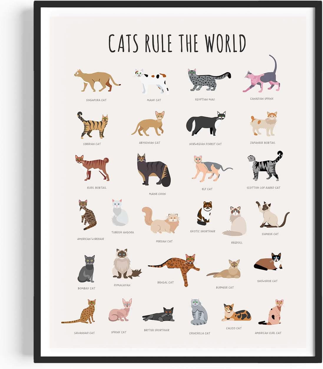 Distiny Cat Breed Wall Art, Vintage Cats Knowledge Wall Decor, Cute ...