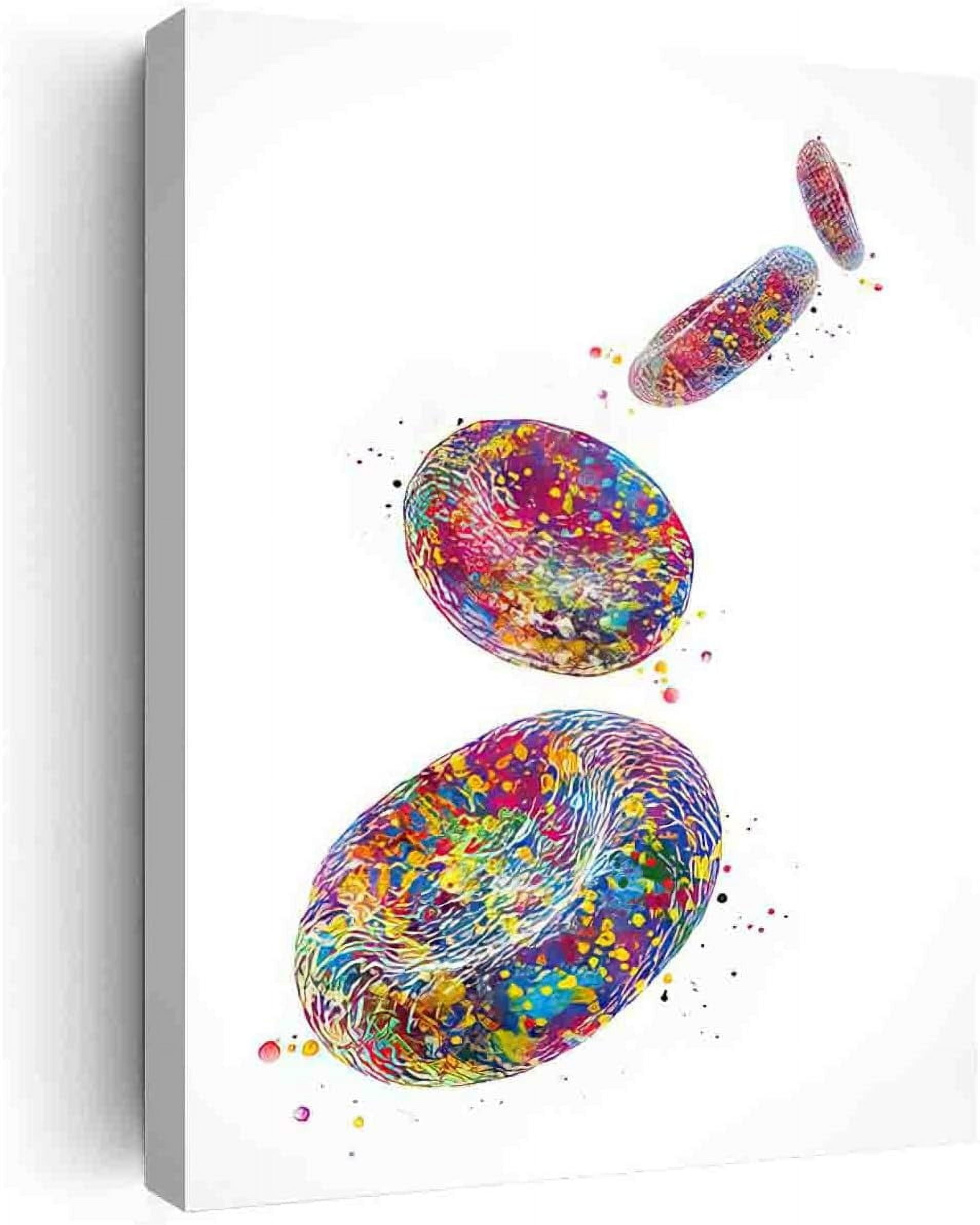 Distiny Poster For Wall Art,Red Cells Watercolor Print Histology ...