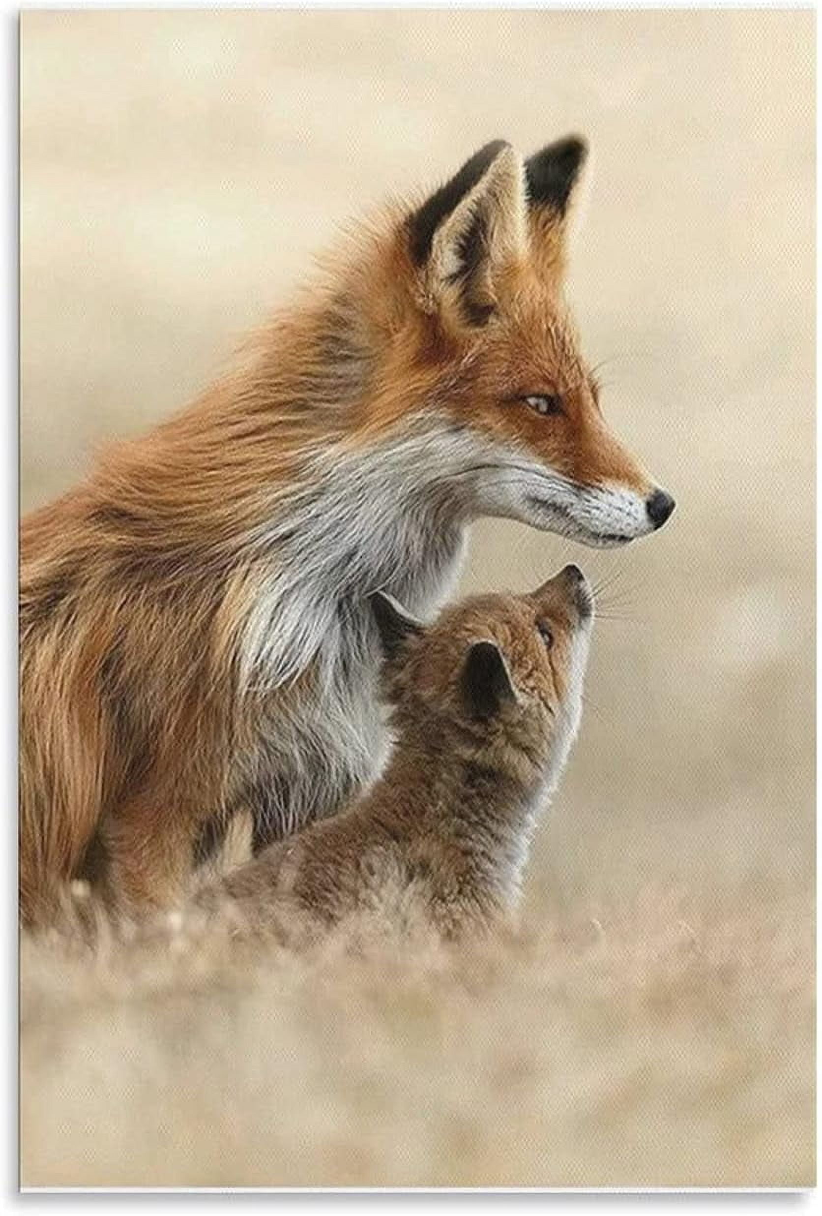 Distiny Wild Animals Fox Posters Fox Baby Canvas Poster Bedroom Decor ...