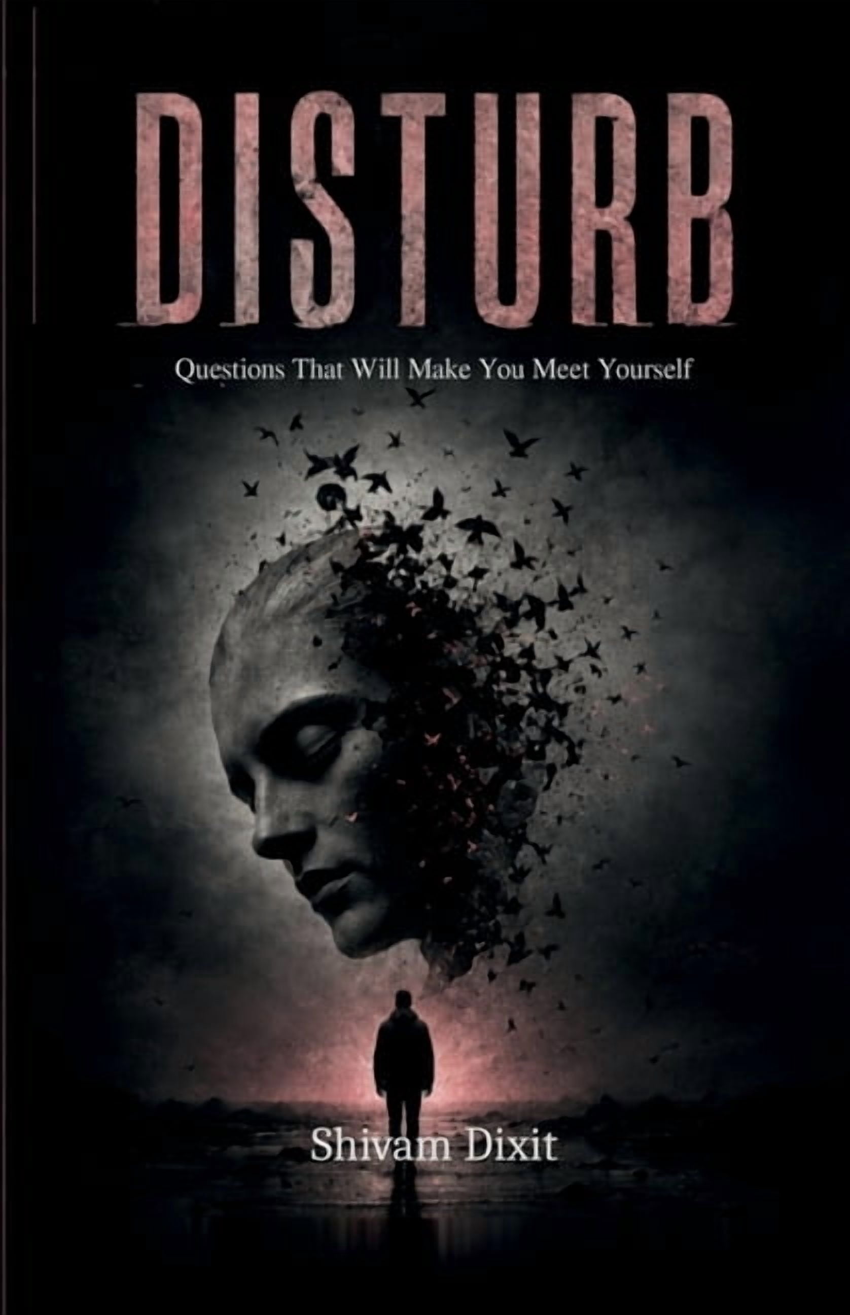 Disturb: Questions that will make you meet yourself, (Paperback ...