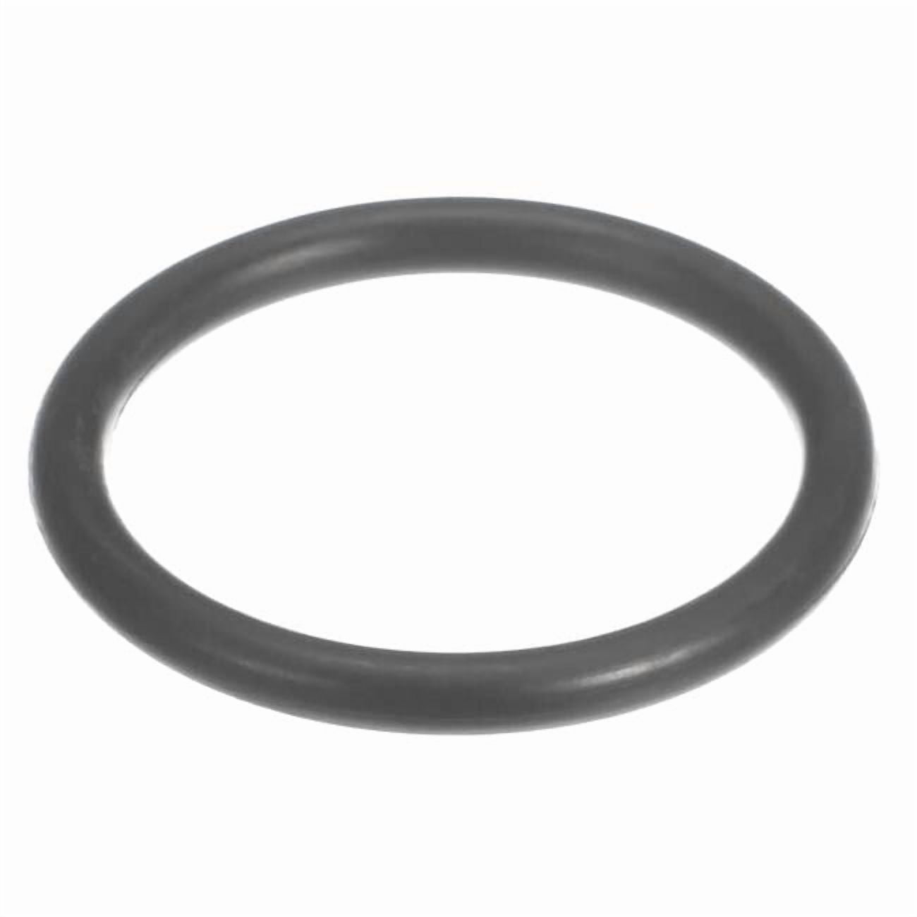 Ditting USA 703893 Seal O-Ring, Fixed Burr Carrier, 120 - Walmart.com