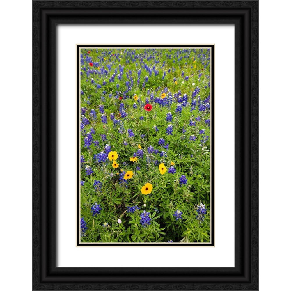Ditto, Larry 11x14 Black Ornate Wood Framed with Double Matting Museum ...