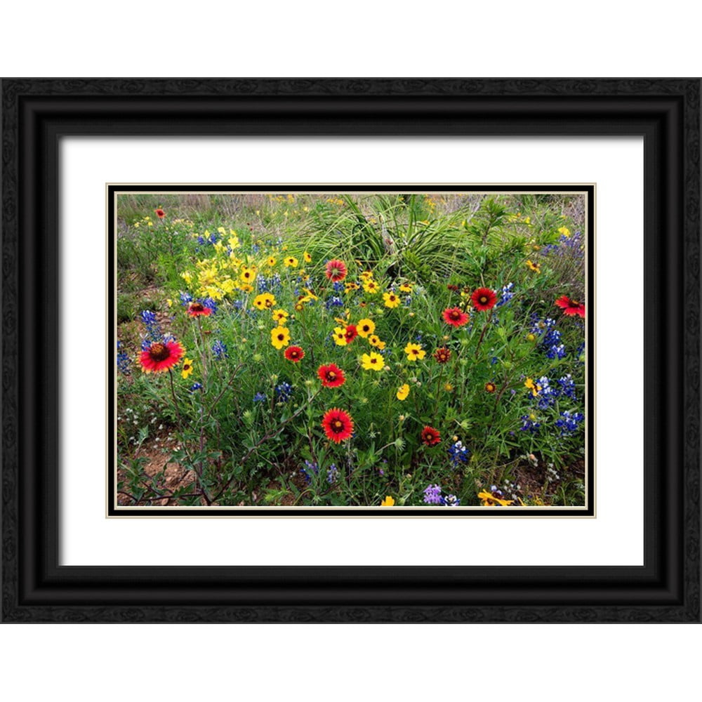 Ditto, Larry 14x11 Black Ornate Wood Framed with Double Matting Museum ...