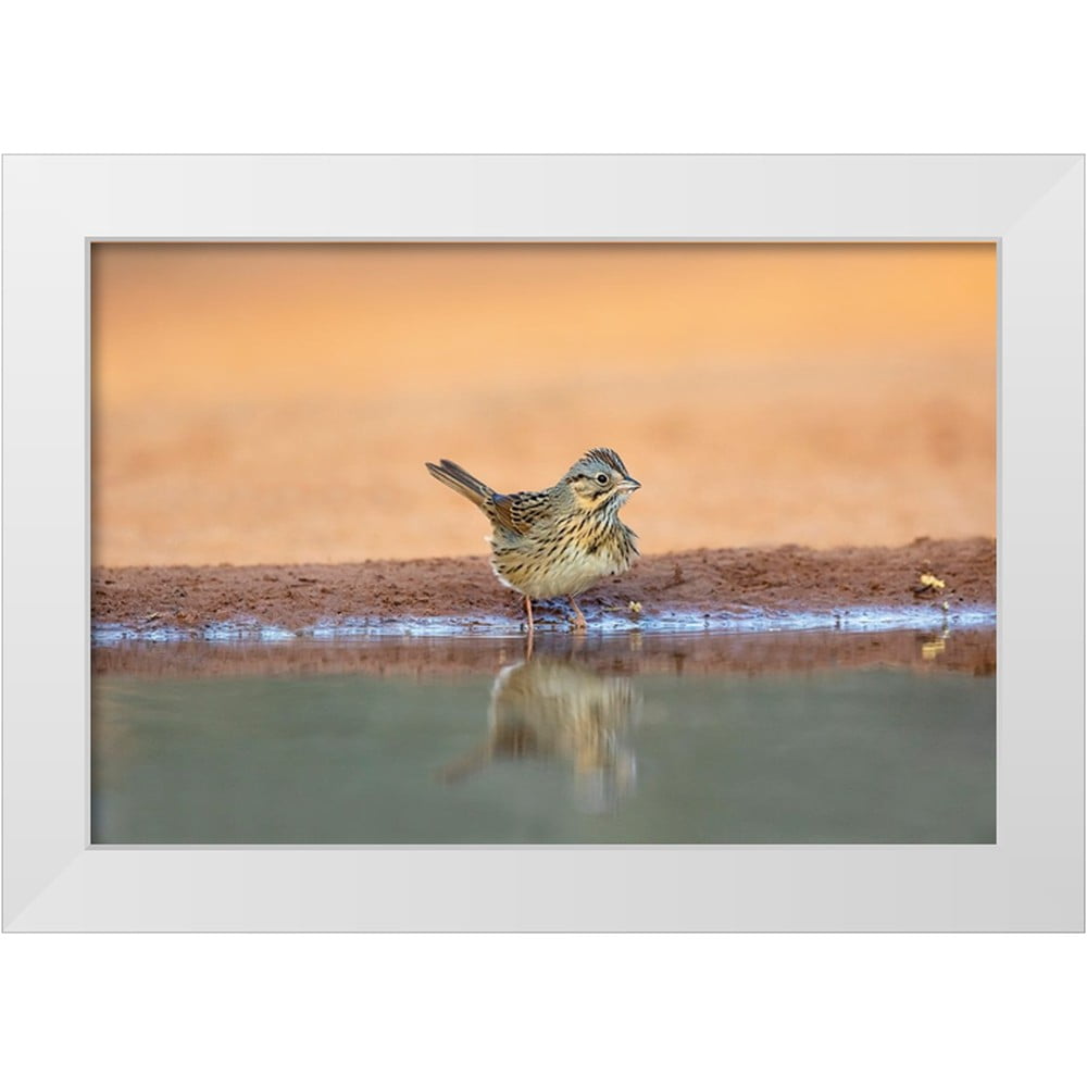 Ditto, Larry 14x11 White Modern Wood Framed Museum Art Print Titled ...