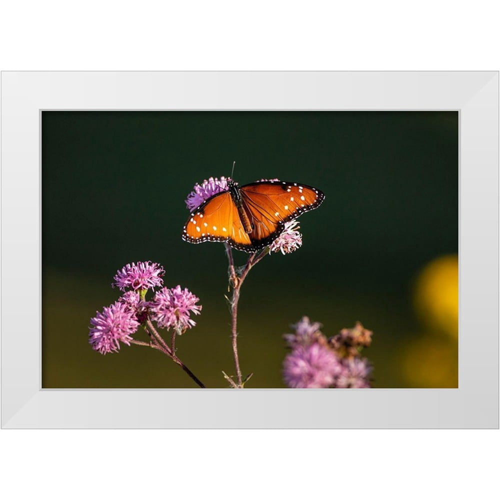 Ditto, Larry 14x11 White Modern Wood Framed Museum Art Print Titled ...