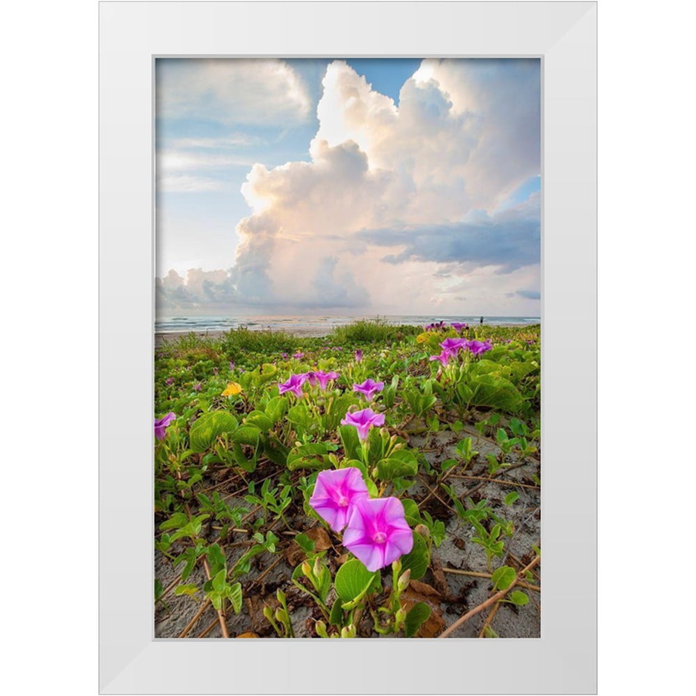 Ditto, Larry 17x24 White Modern Wood Framed Museum Art Print Titled ...