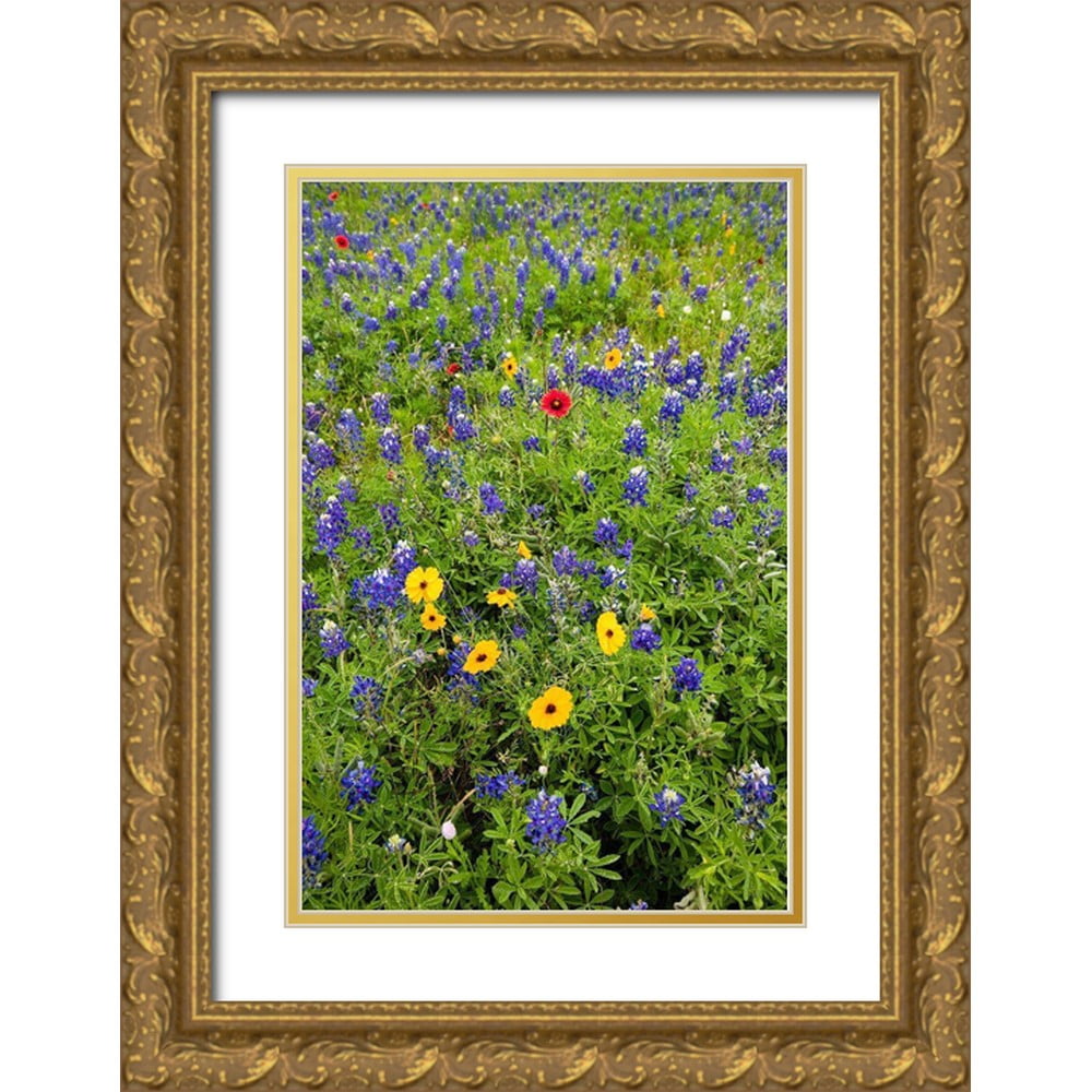 Ditto, Larry 23x32 Gold Ornate Wood Framed with Double Matting Museum ...