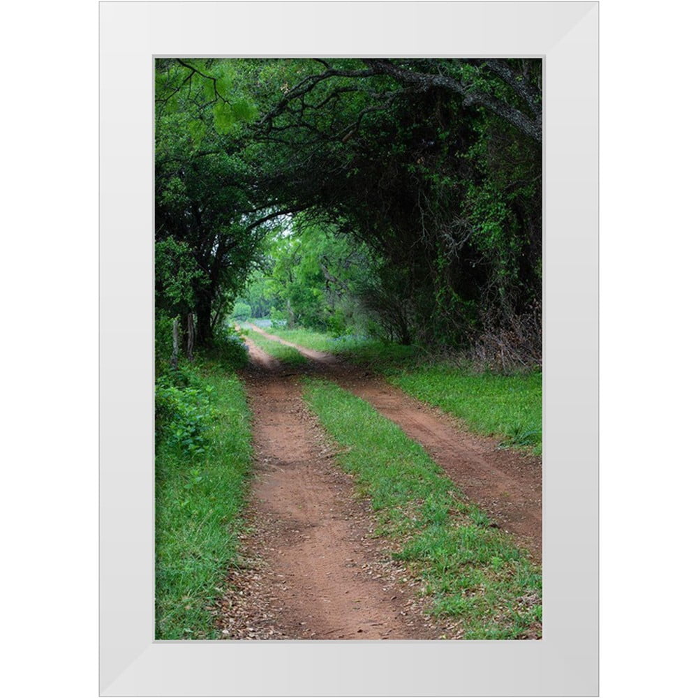 Ditto, Larry 23x32 White Modern Wood Framed Museum Art Print Titled - Farm road and pathway ...