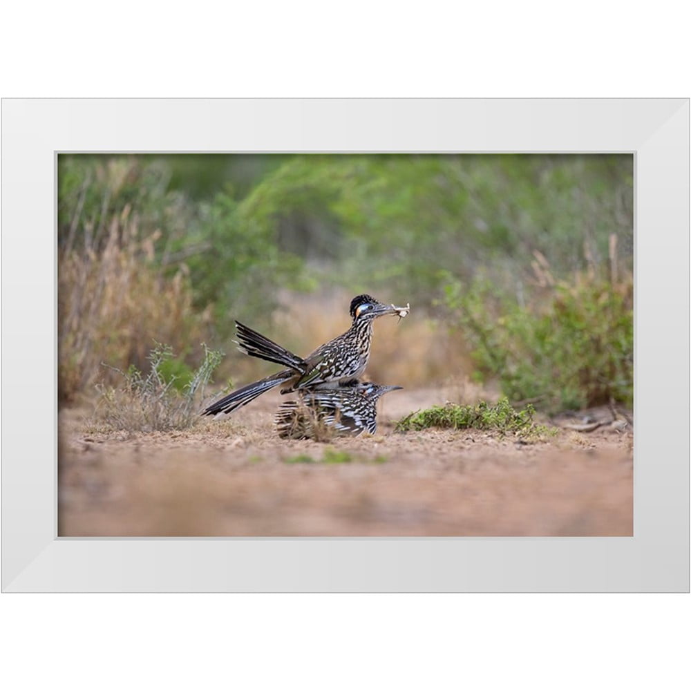 Ditto, Larry 24x17 White Modern Wood Framed Museum Art Print Titled ...