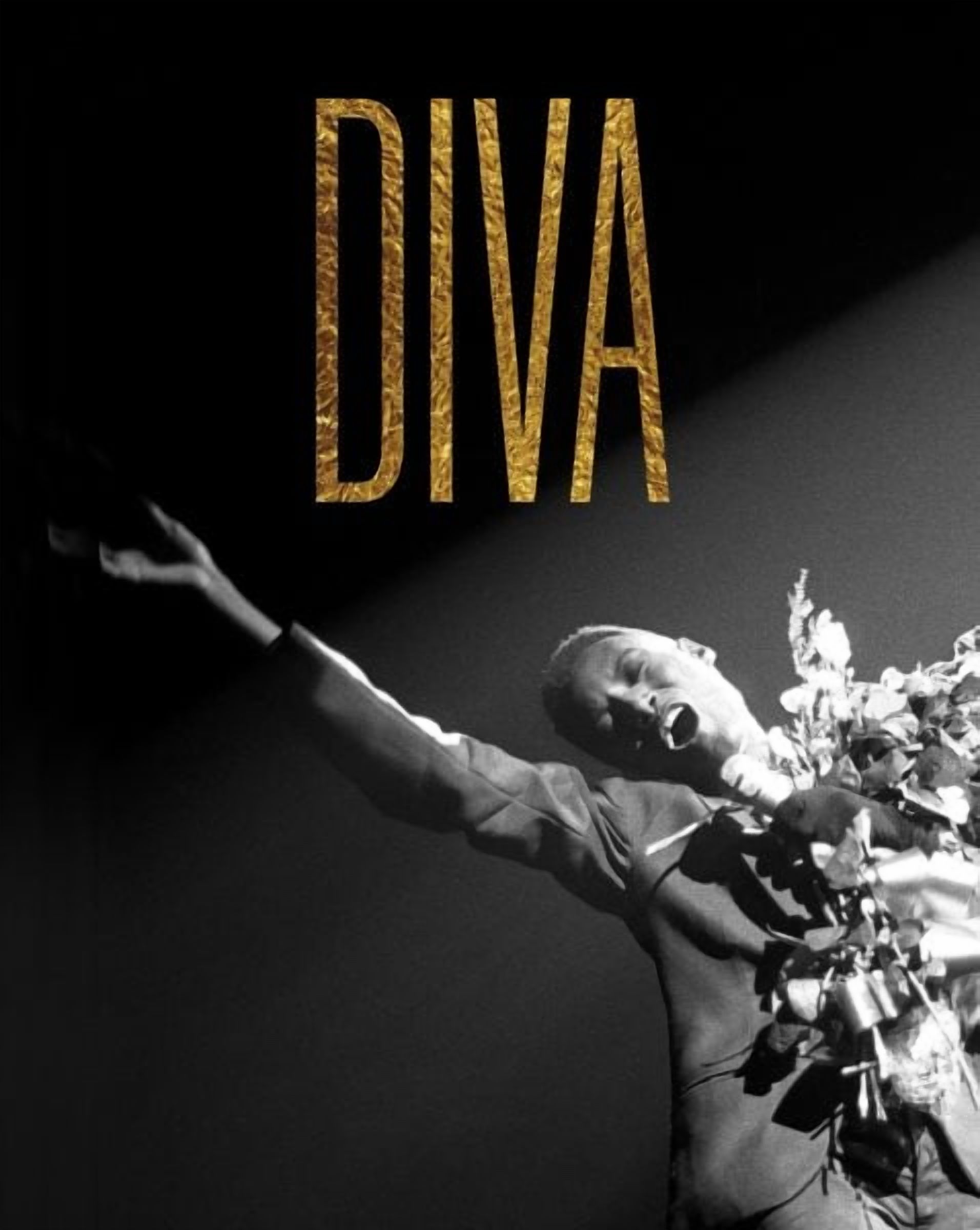 Diva : An Illustrated Guide to the Glamorous Personalities of Prima ...