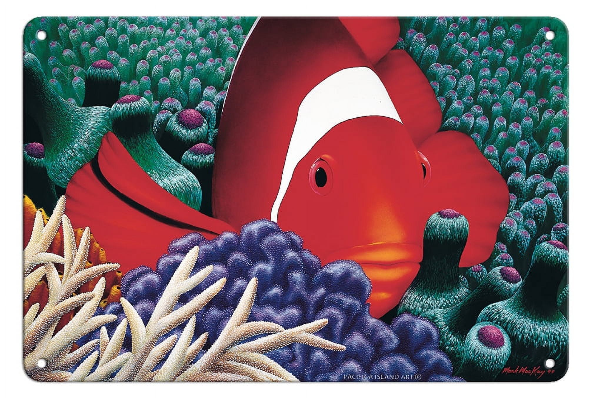 Diva - Hawaiian Tomato Clown Fish in Sea Anemone - From an Original ...