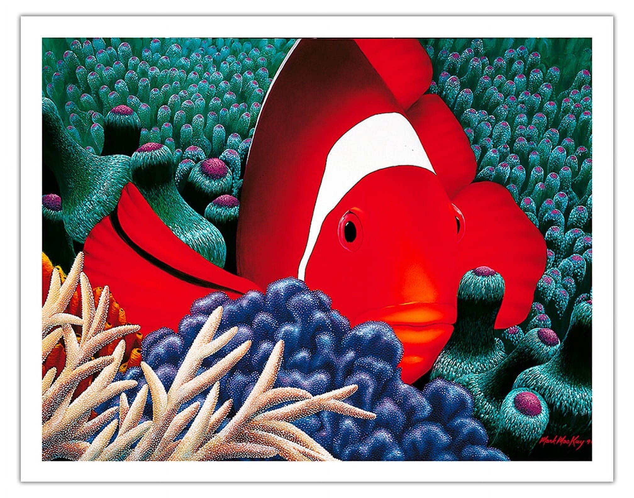 Diva - Hawaiian Tomato Clown Fish in Sea Anemone - From an Original ...
