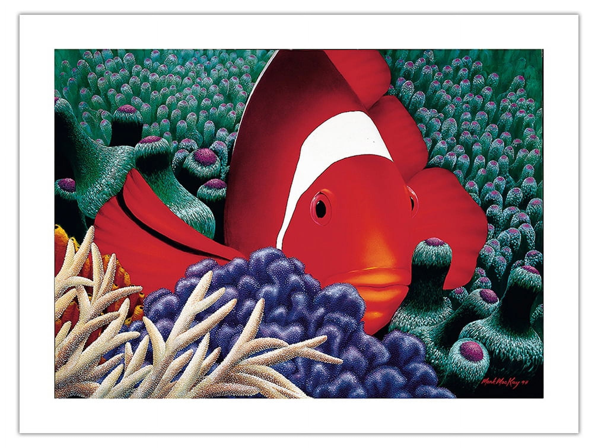 Diva - Hawaiian Tomato Clown Fish in Sea Anemone - From an Original ...
