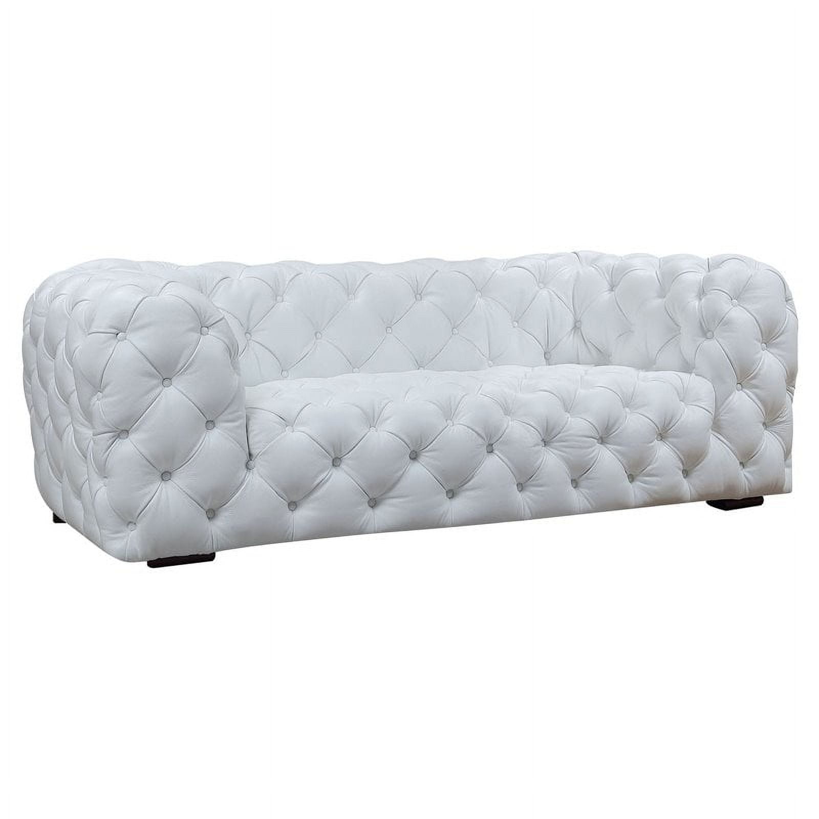 Divani Casa Dexter Transitional Leather Diamond Tufted Upholstered Sofa ...
