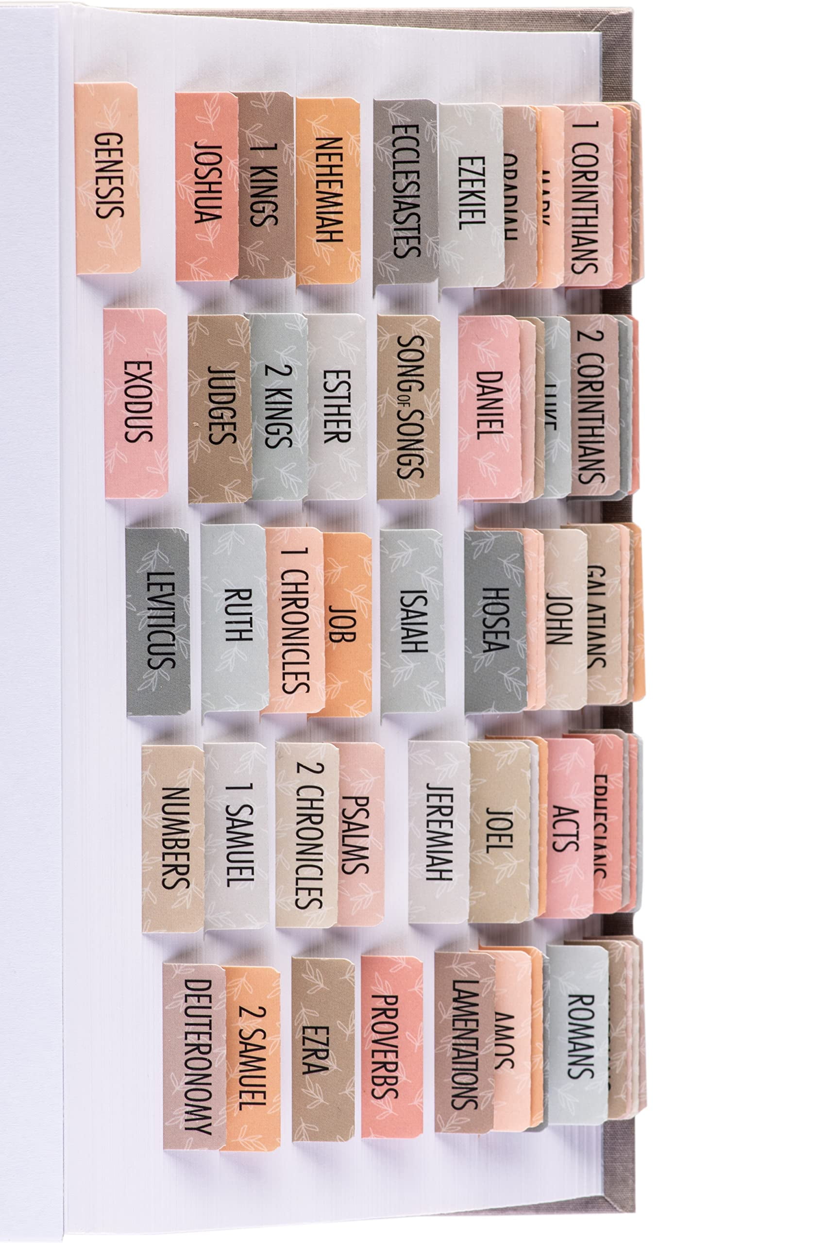 DiverseBee Laminated Bible Tabs (Large Print, Easy to Read), Bible ...