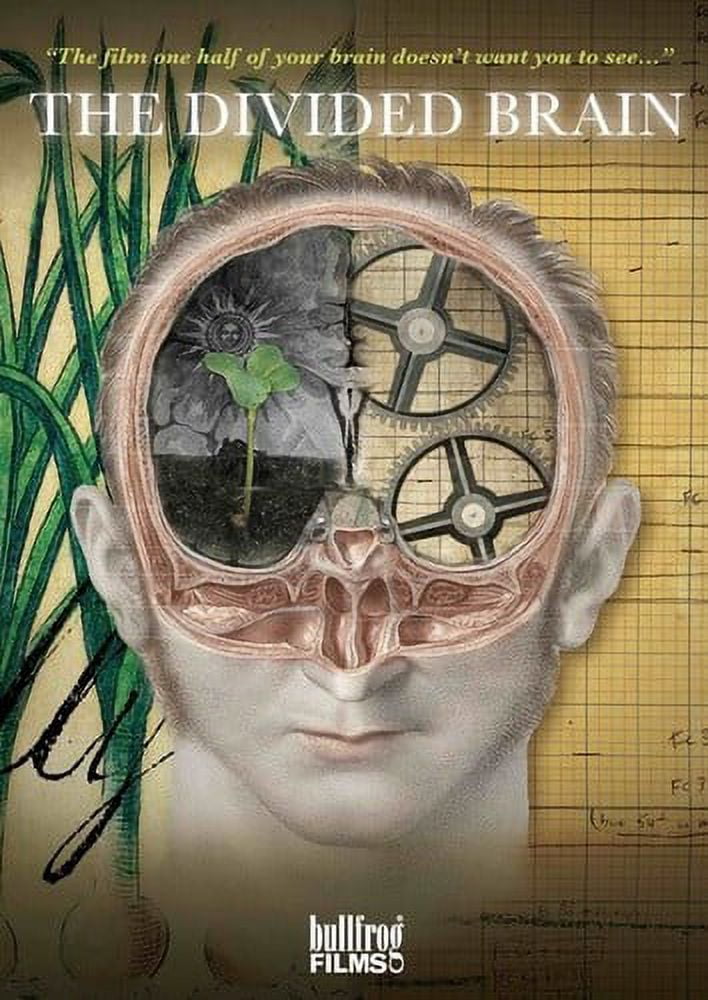 Divided Brain (DVD), Bullfrog Films, Documentary - Walmart.com