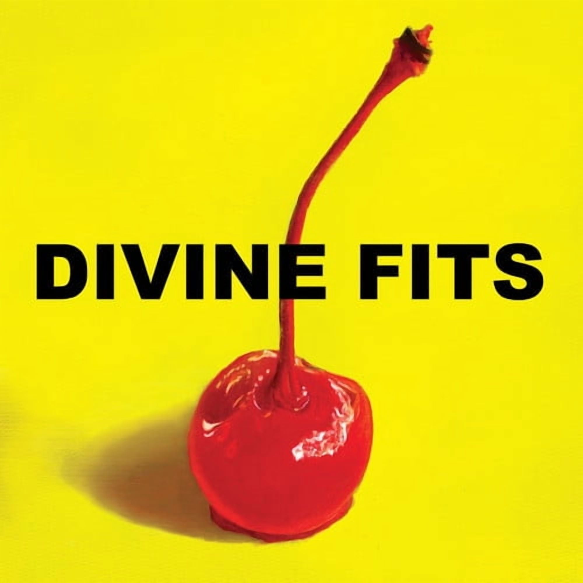 Divine Fits - A Thing Called Divine Fits - Music & Performance - Vinyl ...