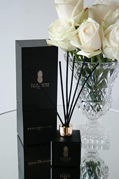 Divine Home Fragrances D0007 Beginnings Reed Diffuser, 2-inch Height ...