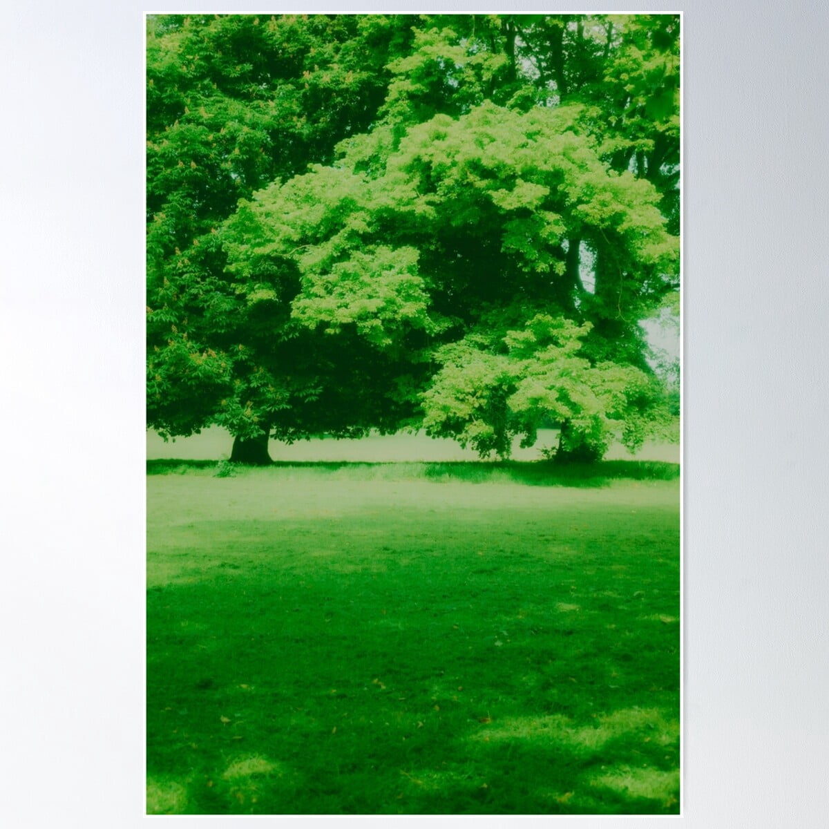 Divine Nature Poster Wall Art Modern Wall Decor Wall Art Home Decor ...