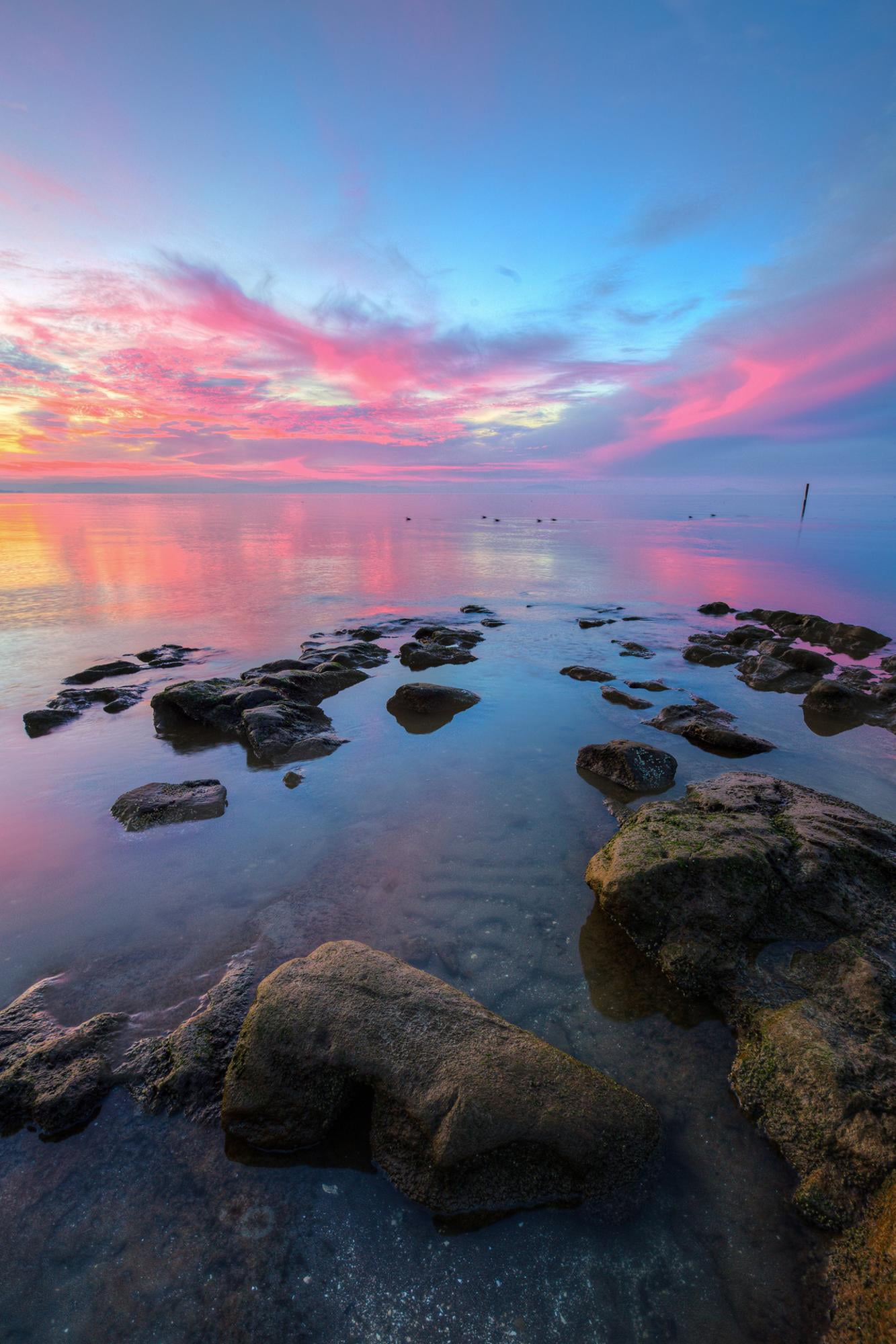 Art.com Divine Sunset Scene at San Pablo Bay Photographic Print, 24" x ...