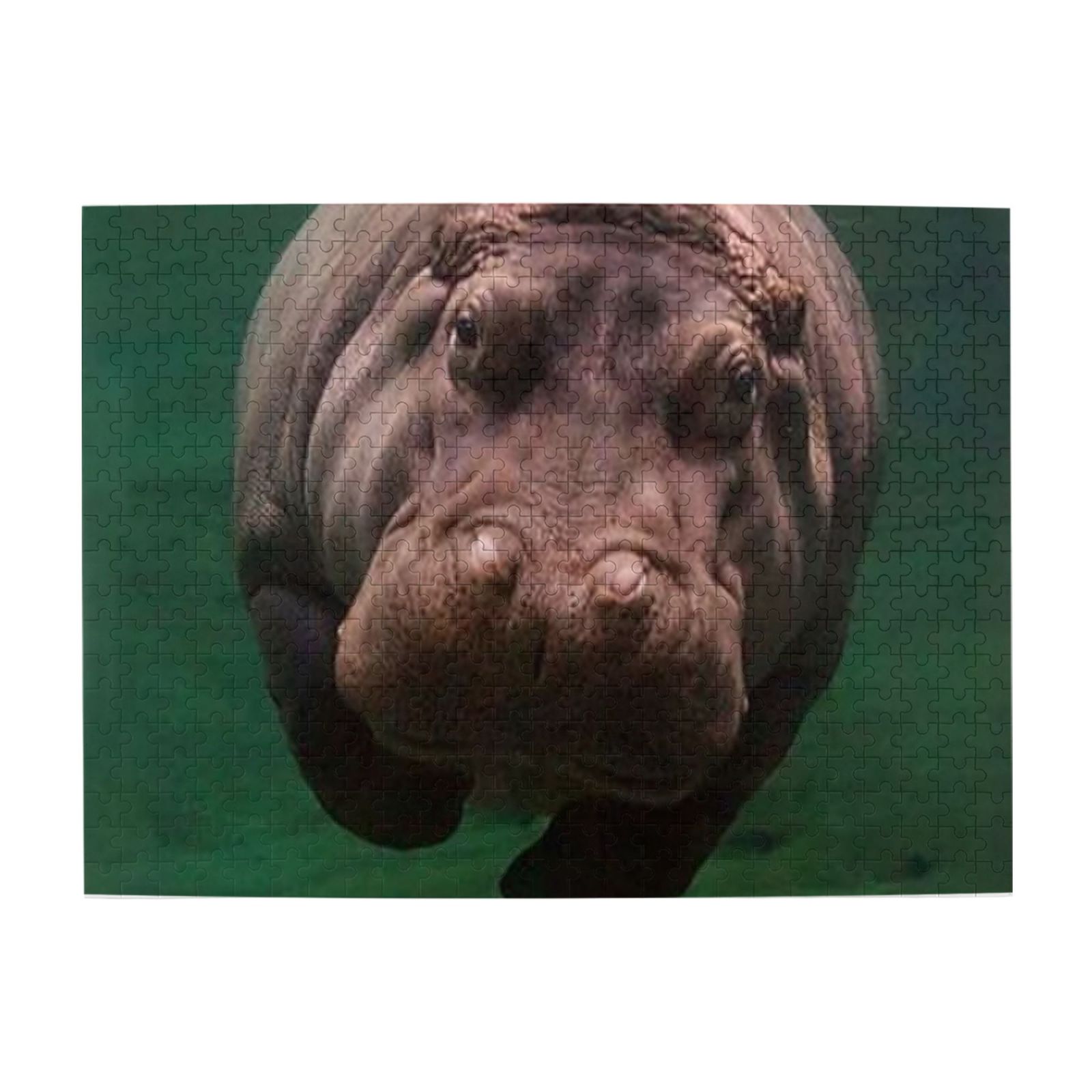 Diving Hippo Printed, Jigsaw Puzzles 500 Pieces Wooden Jigsaw Toy ...