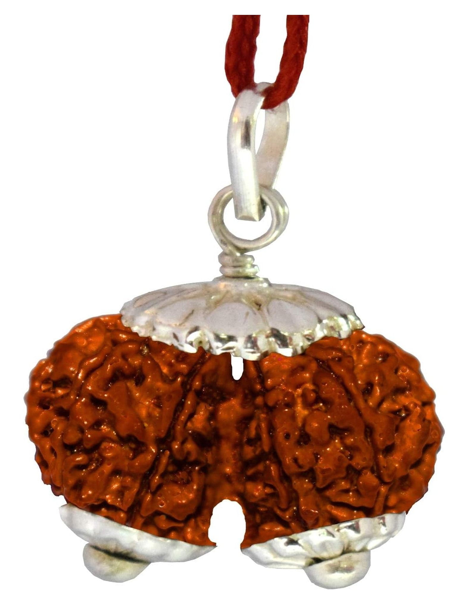 Divya Shakti 100% Original Nepali Gauri Shankar Rudraksha in Silver ...
