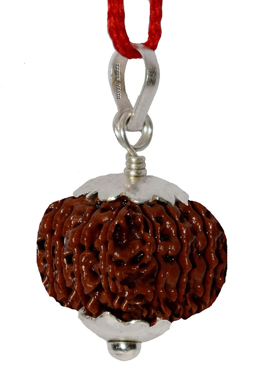Divya Shakti Thirteen Face / 13 mukhi Nepali Rudraksha Silver Pendant ...