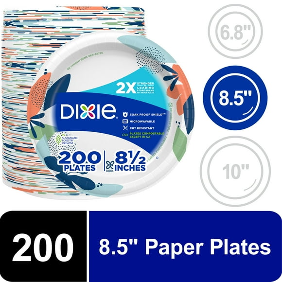 Dixie Plates in Disposable Tableware - Walmart.com