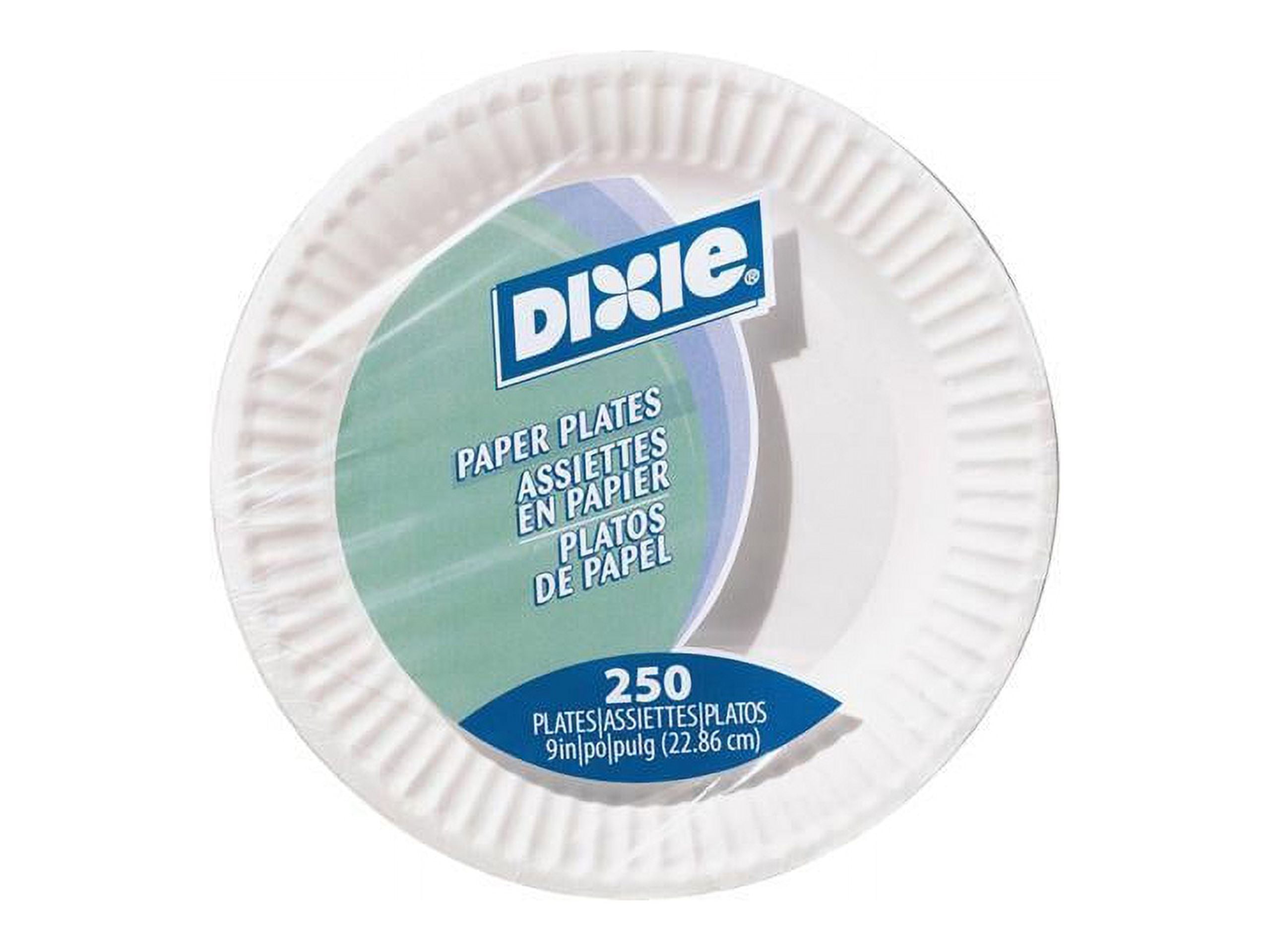 Dixie Standard Plain White Paper Single Use Plate, 1000 Ct, 9 Inch ...