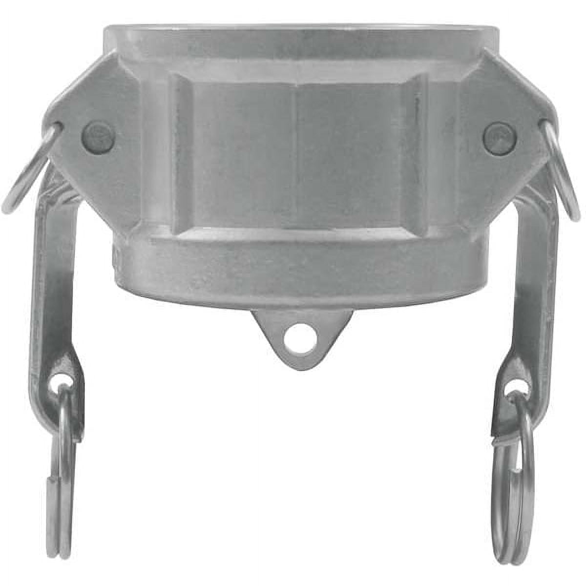 Dixon Dust Cap,3 In,125 psi,Female Coupler G300-DC-BR - Walmart ...