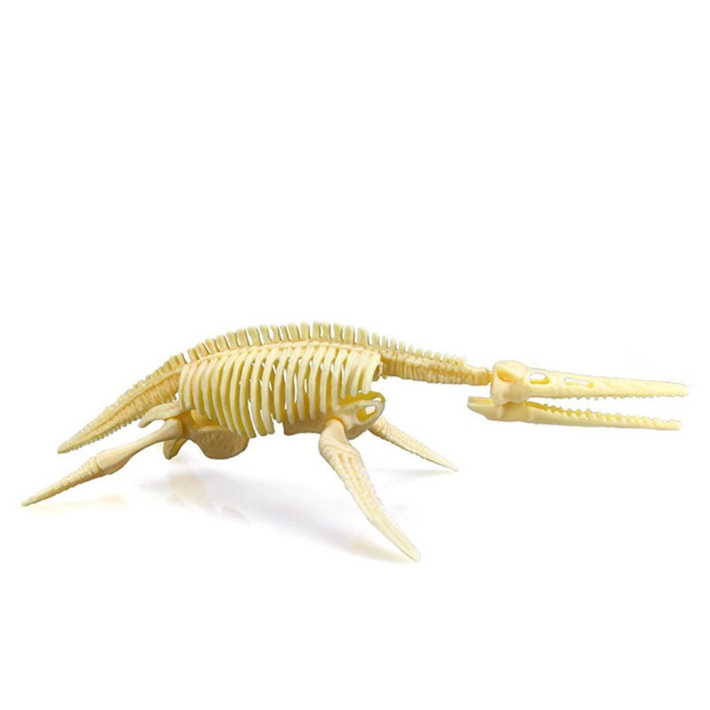 Diy Dinosaur Skeleton Model Toy Dinosaur Building Blocks Ornaments 3d ...