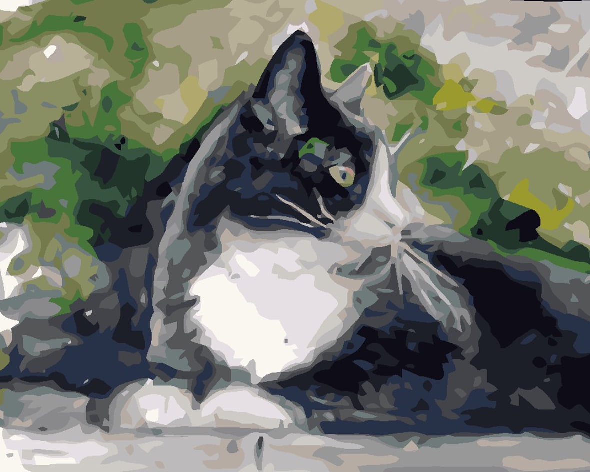 Professional Cat Painting