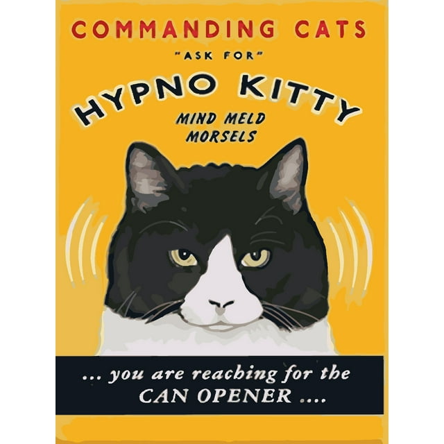 Diy Oil Painting Small To Cat Felidae Carnivore Medium-Sized Cats ...