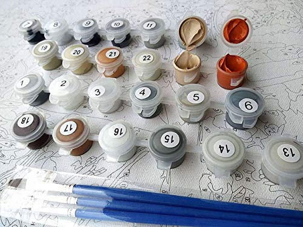 Diy Paint-By-Number Kit for Adults - Includes Brushes, Paints and ...